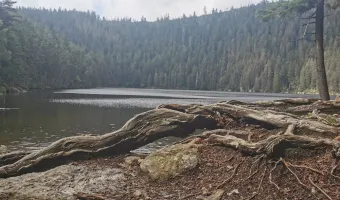 Čertovo jezero na Šumavě: Super tip pro turisty
